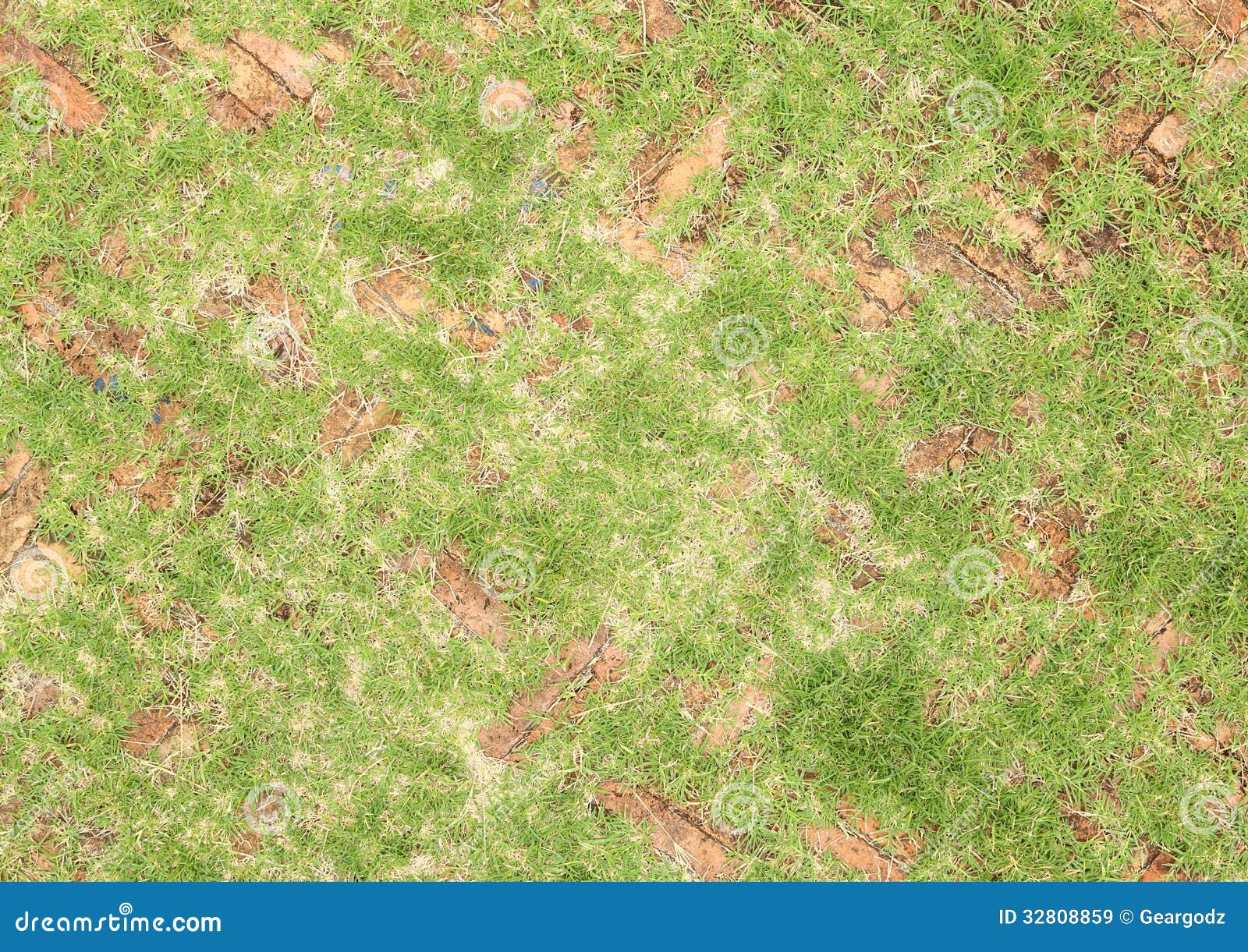 Old Red Brick Paving Stones with Grass Growing Along Stock Image ...
