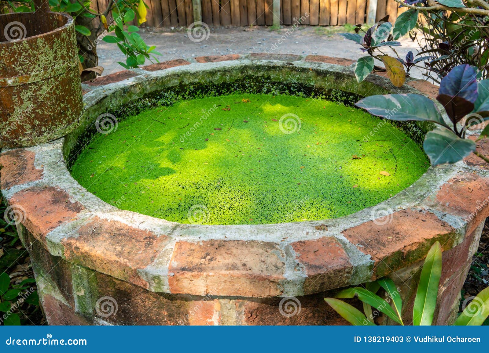 Old Red Brick Pond Loop Sphere, Cement Old Pond Circle with Duckweed ...