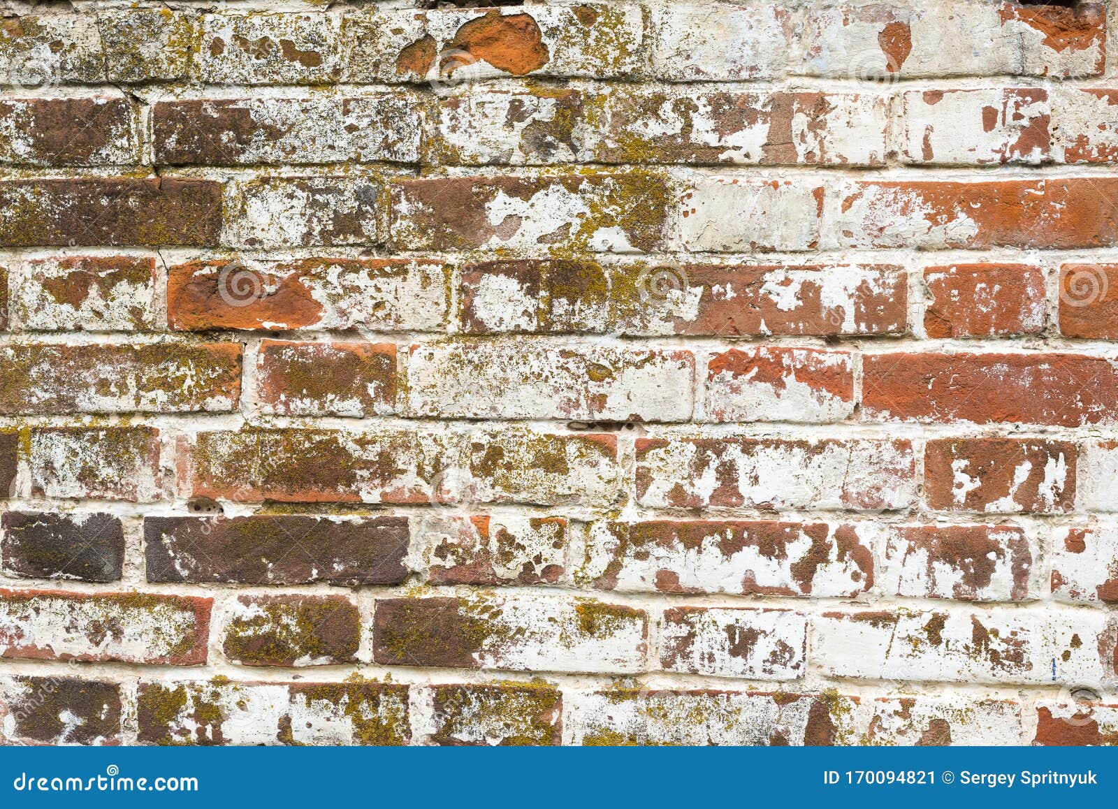 Old Red Brick Wall, Covered with Whitewash, Texture Stock Image - Image ...