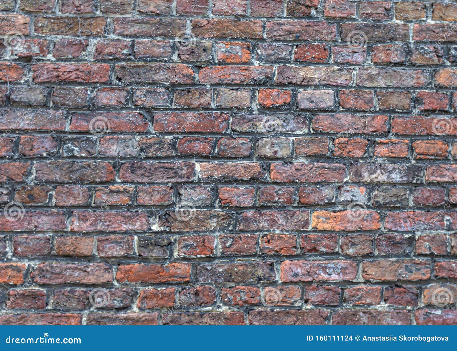 Top View Of A Stonewall Texture - Great For Wallpaper Or Background ...