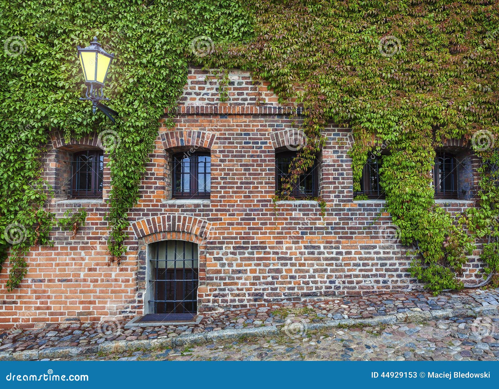 Old Red Brick Wall with Wild Grapes Stock Image - Image of vine, brown ...