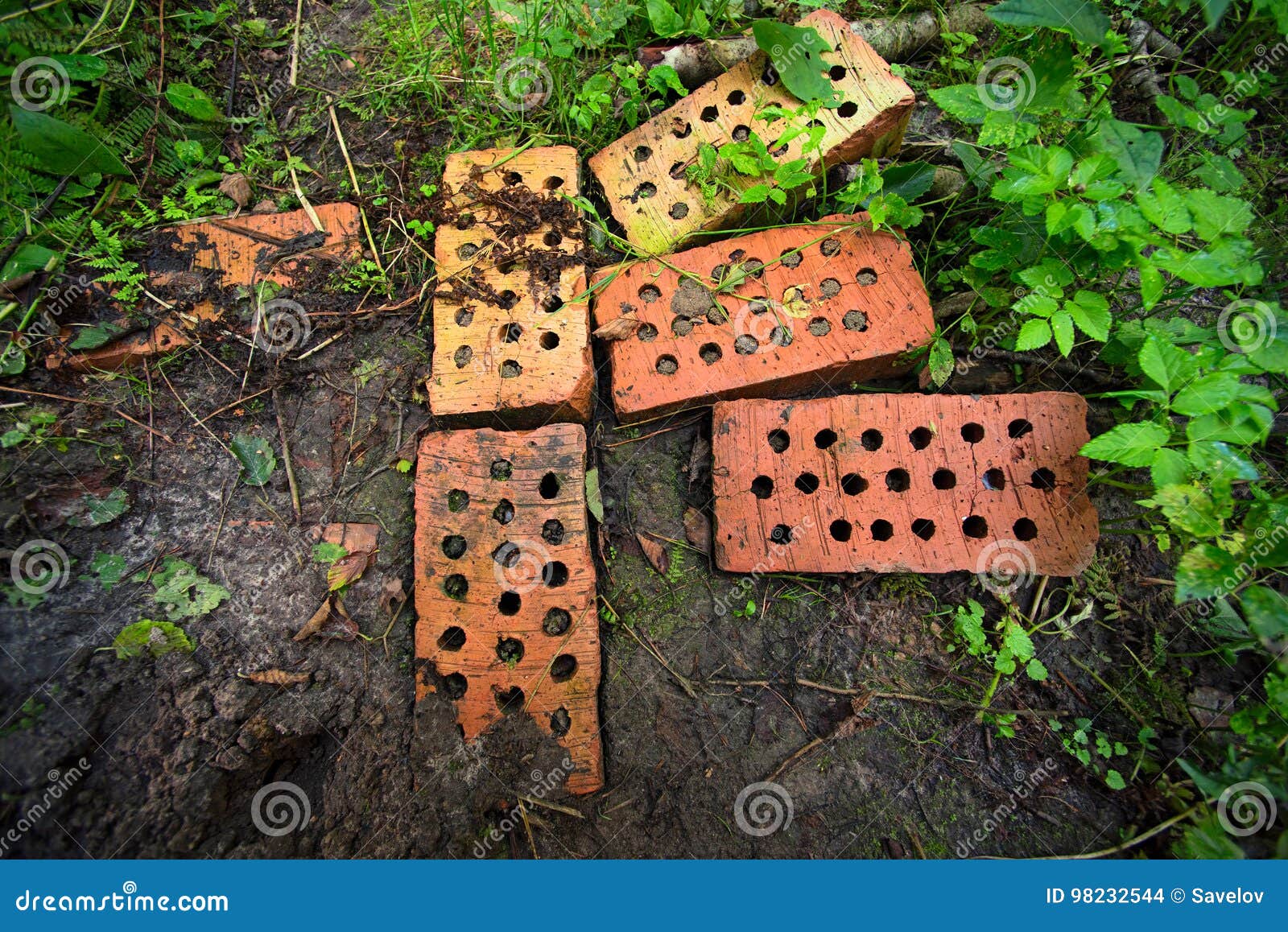 Old Red Bricks in the Ground Stock Photo - Image of color, park: 98232544