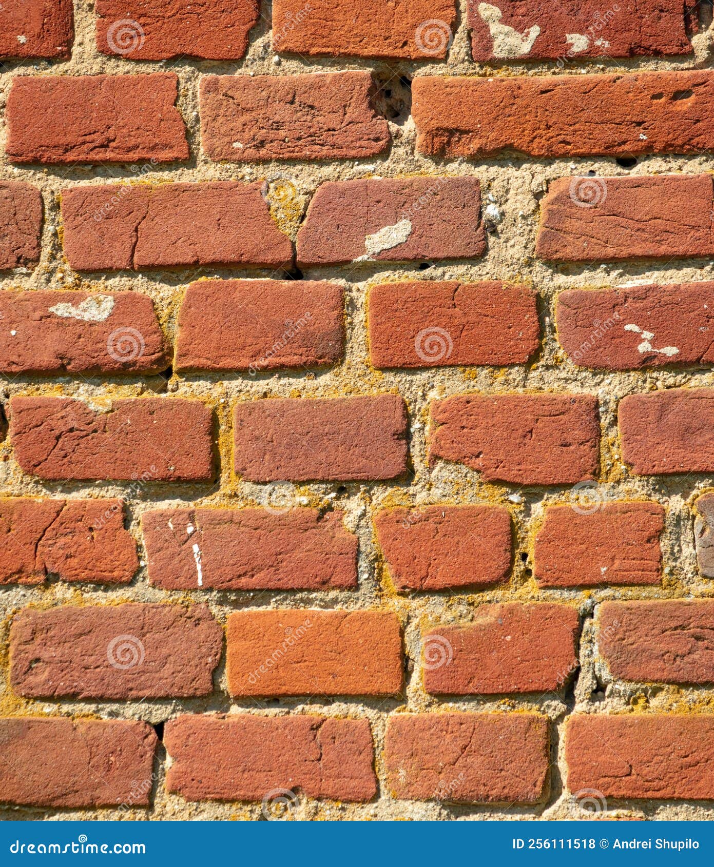 Old Red Bricks on the Wall. Stock Photo - Image of texture, surface ...