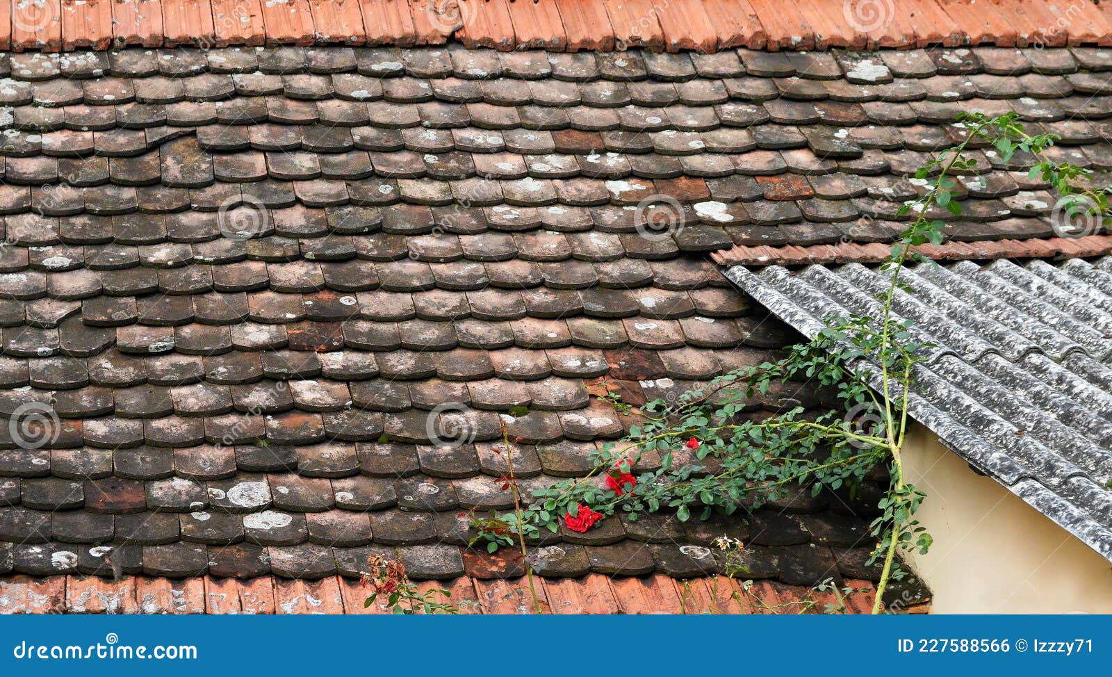 Old Red Bullnose Roof Tile Texture Stock Photo - Image of rounded ...