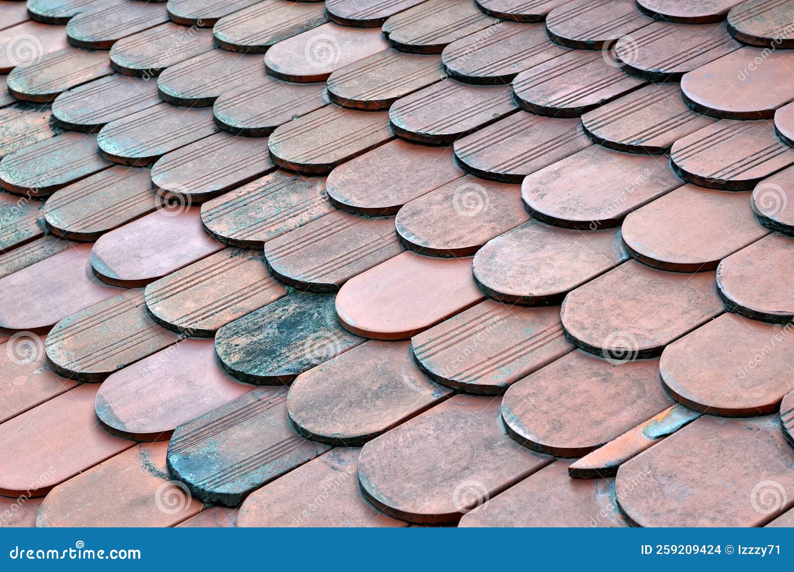 Red Clay Beavertail Sloped Mansard Roof And Renaissance Style Exterior ...