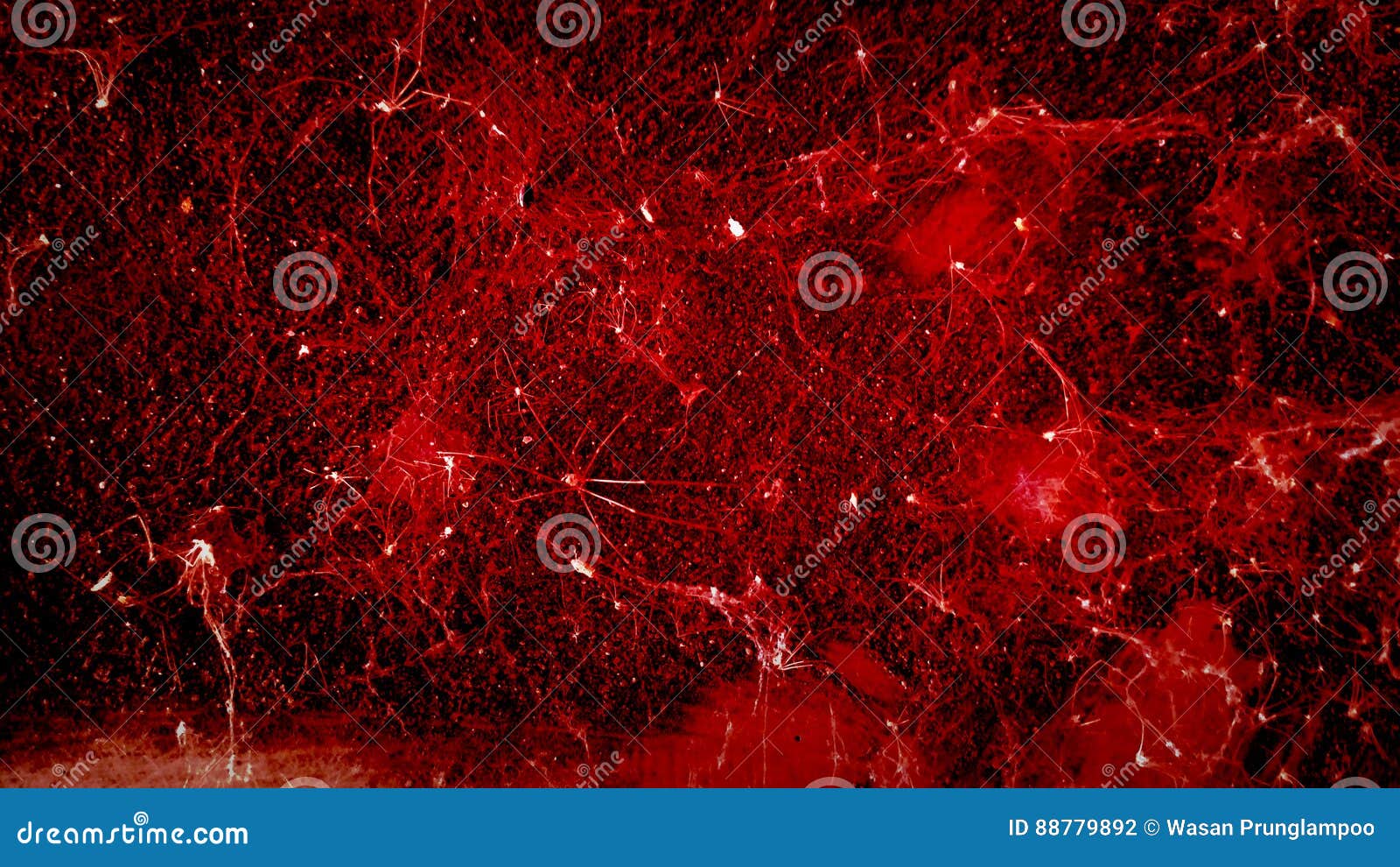 Old red cobwebs texture stock photo. Image of biohazard - 88779892