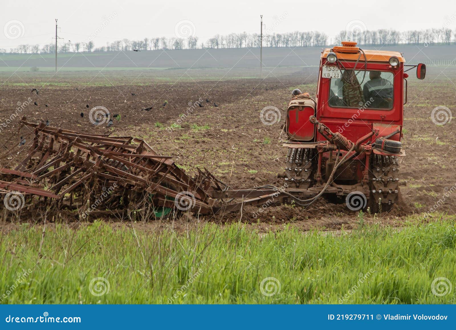 An Old Red Crawler Tractor Works in the Field Stock Image - Image of ...