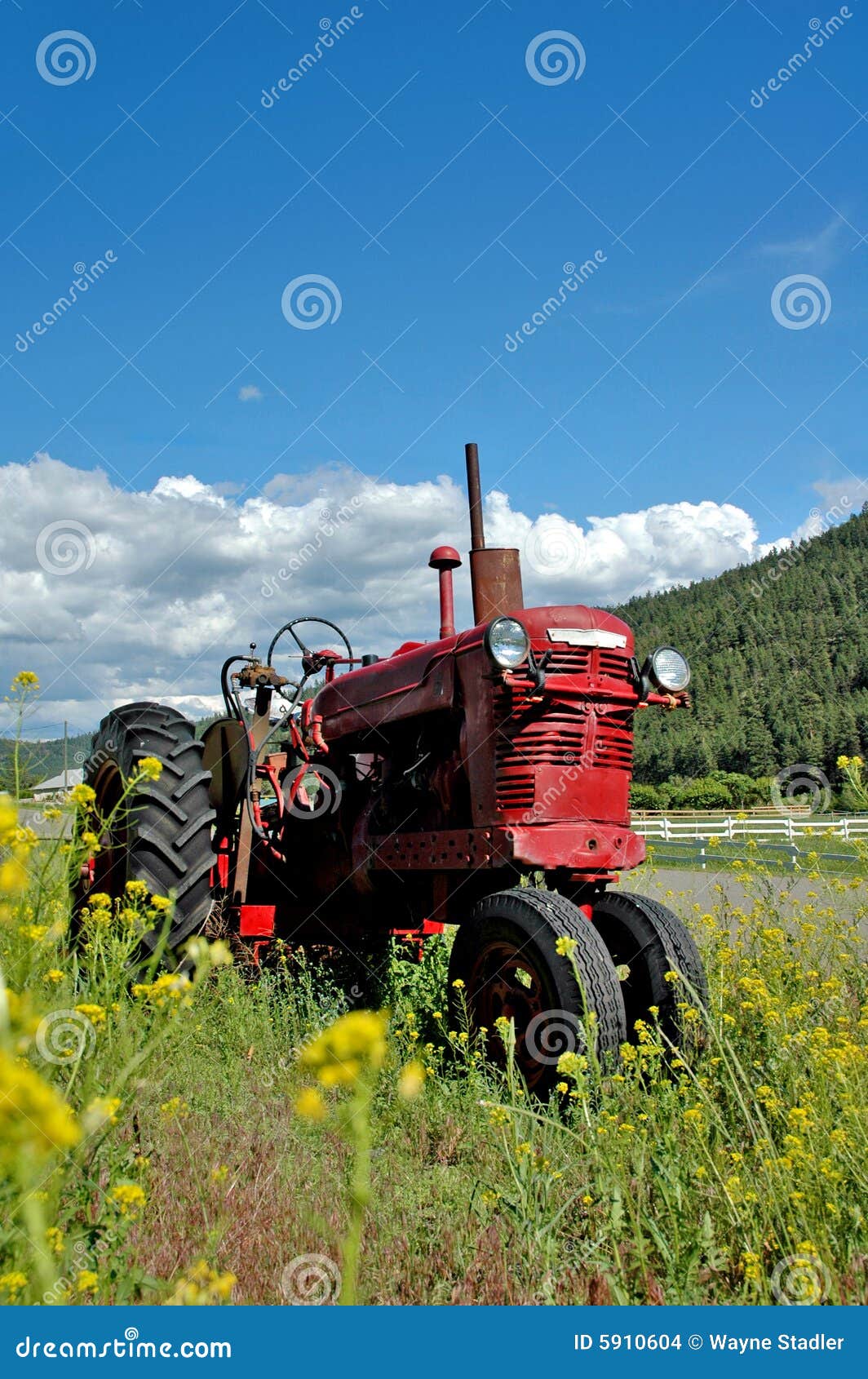 Old Red Farm Tractor stock photo. Image of crop, aged - 5910604