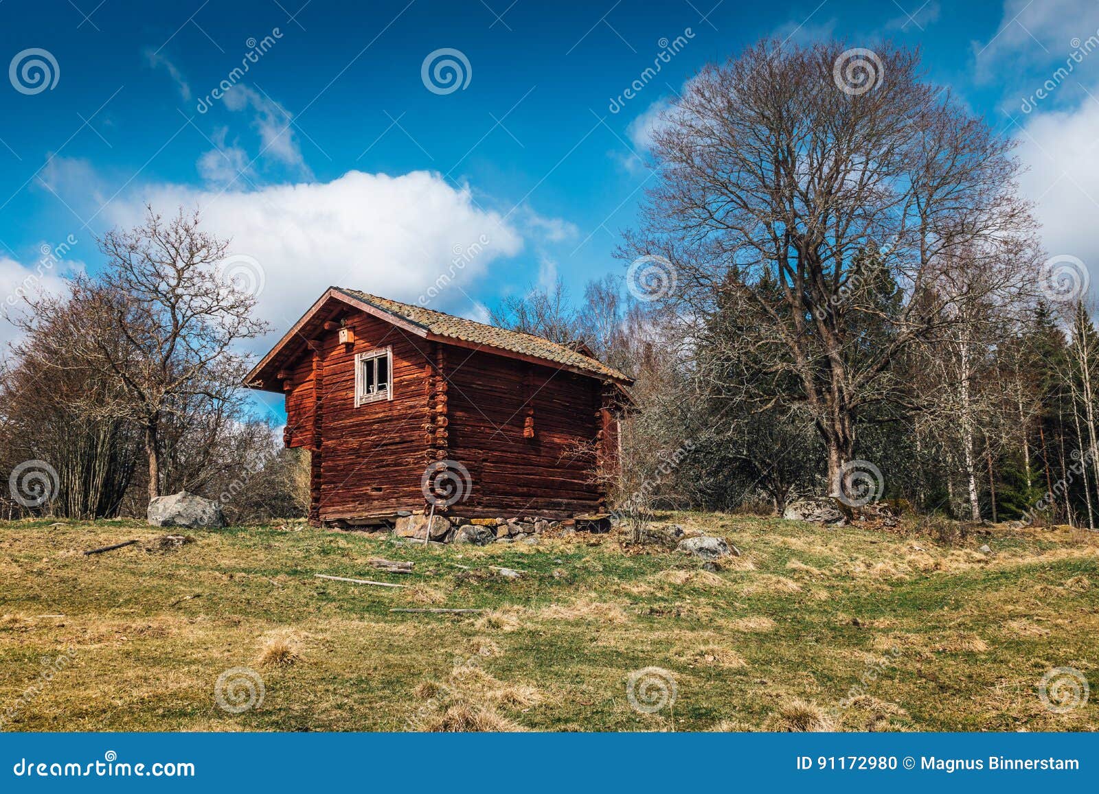 Old red log cabin stock photo. Image of deserted, spring - 91172980