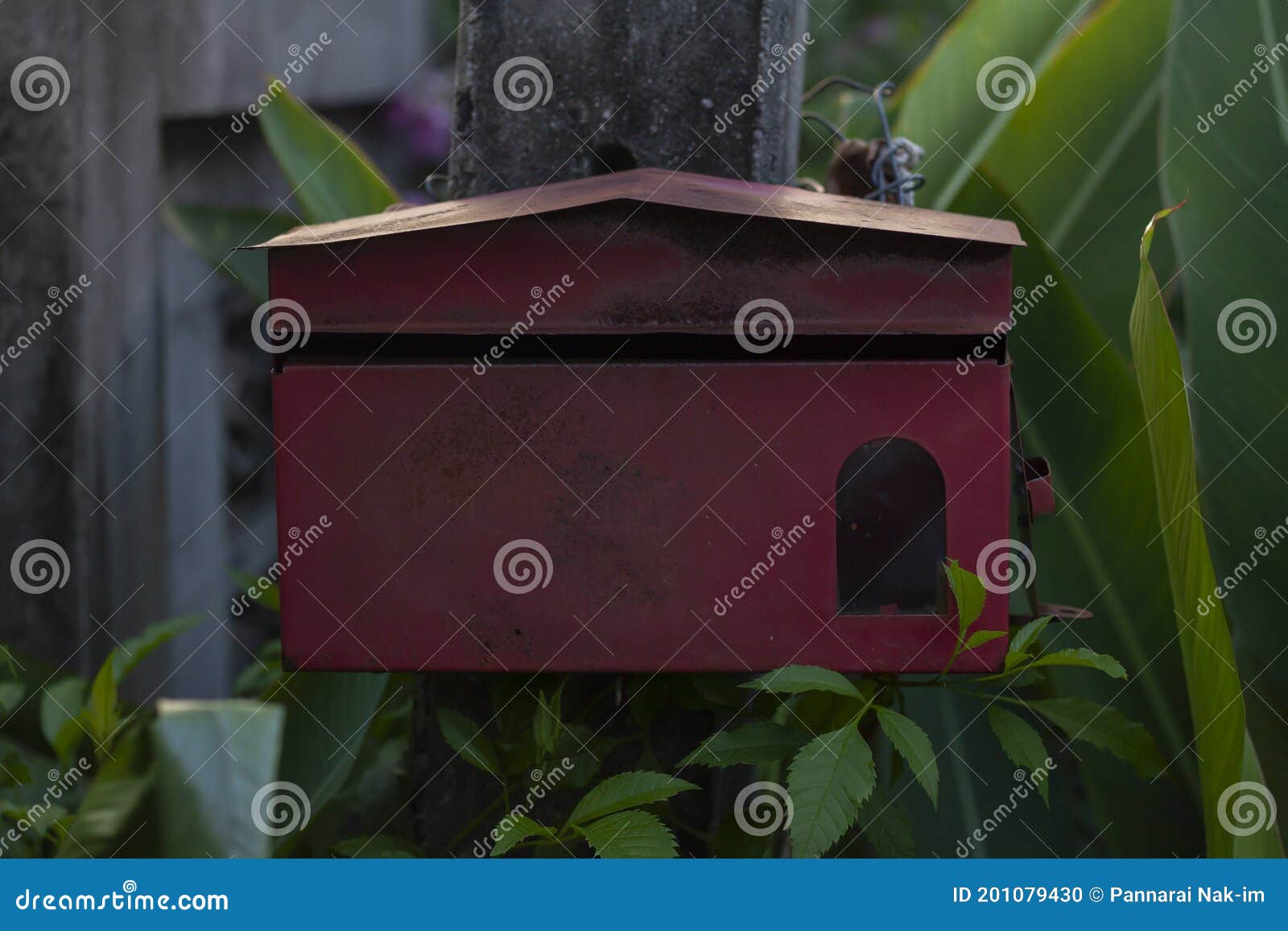 Old Red Mailbox on Electric Pole. Stock Photo - Image of message, mail ...