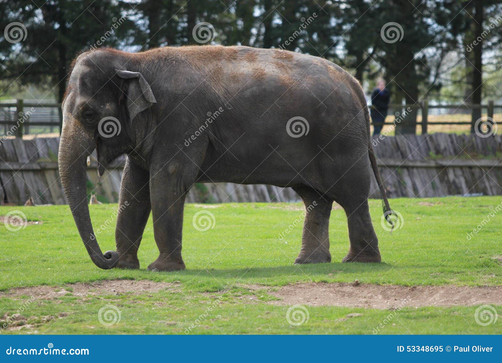 Old Red Pillar Box on Train Platform Stock Image - Image of people ...