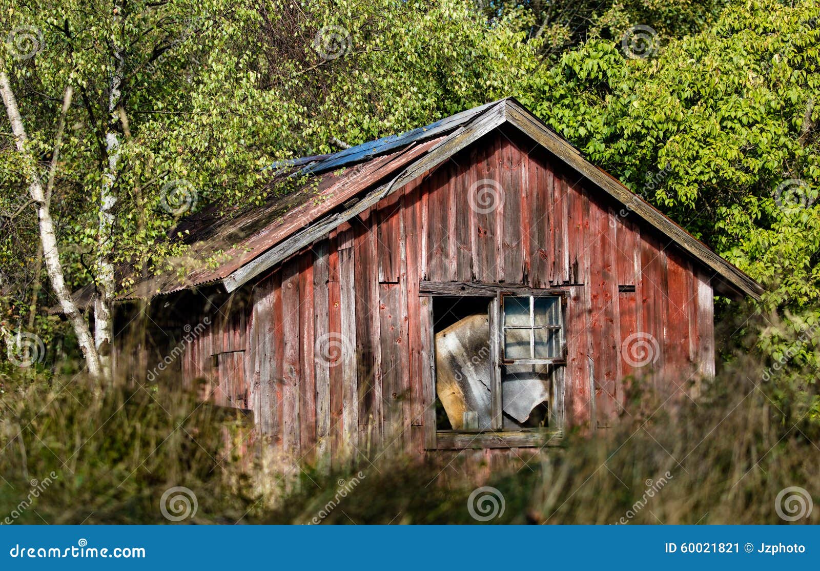 An Old Red Shed in Tall Grass Stock Image - Image of gray, broken: 60021821