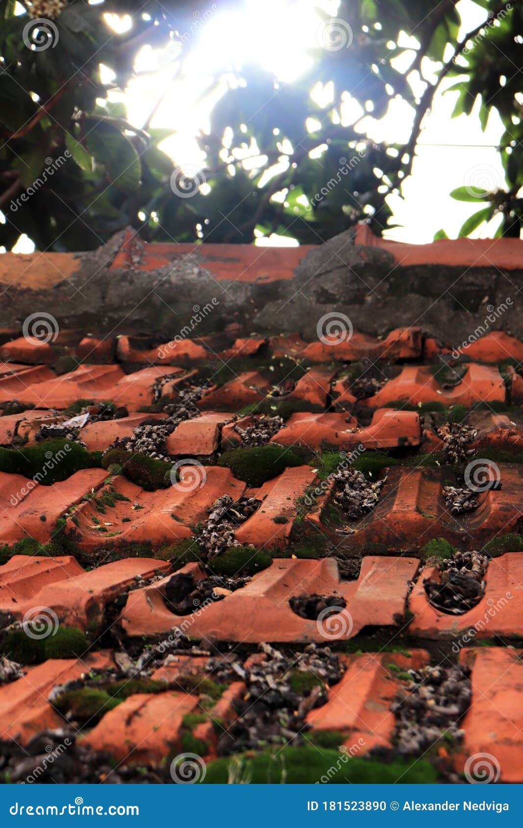 Old Red Shingles Tiles with Moss Stock Photo - Image of structures ...