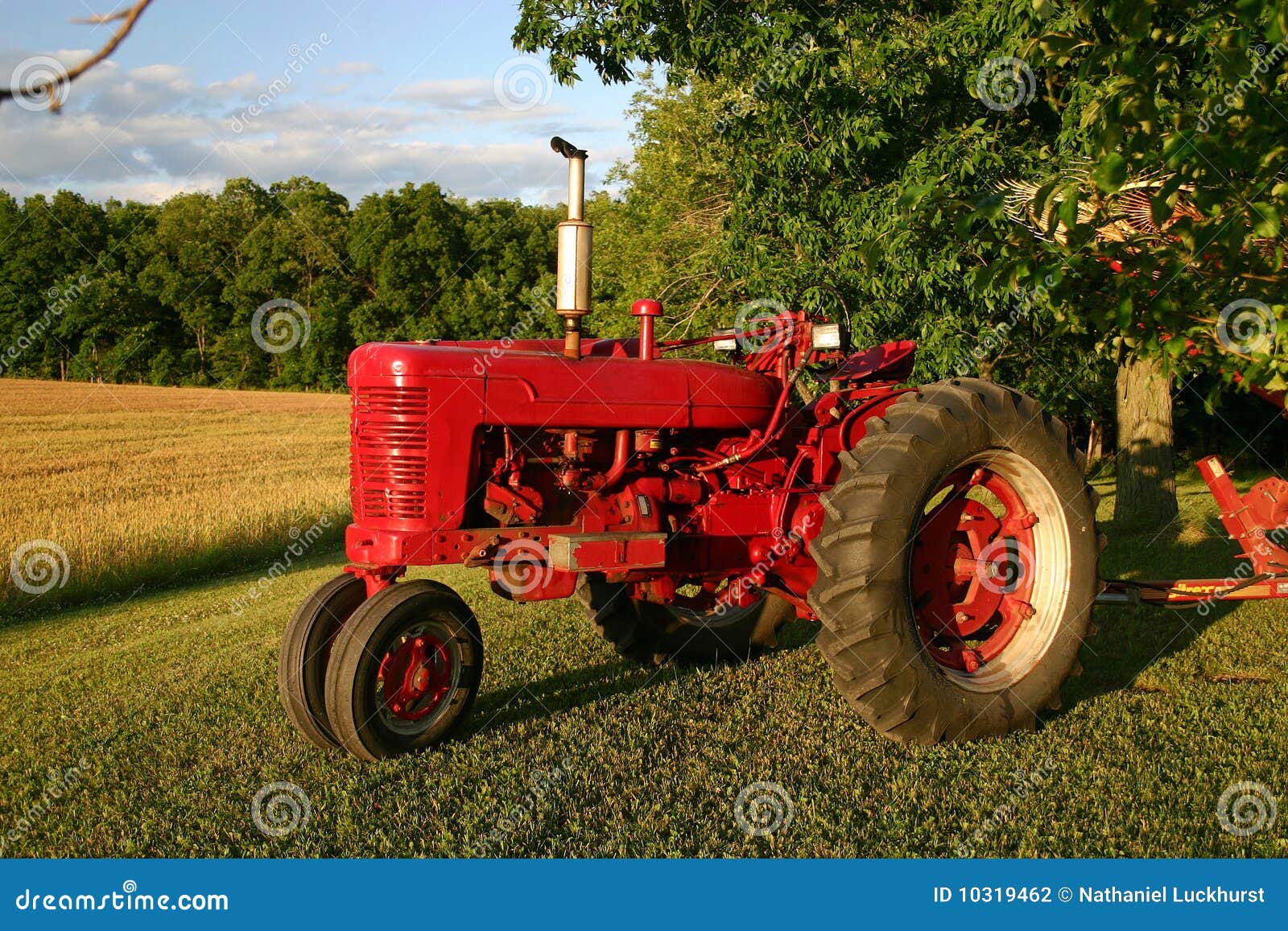 Old Red Tractor stock photo. Image of farm, summer, grass - 10319462
