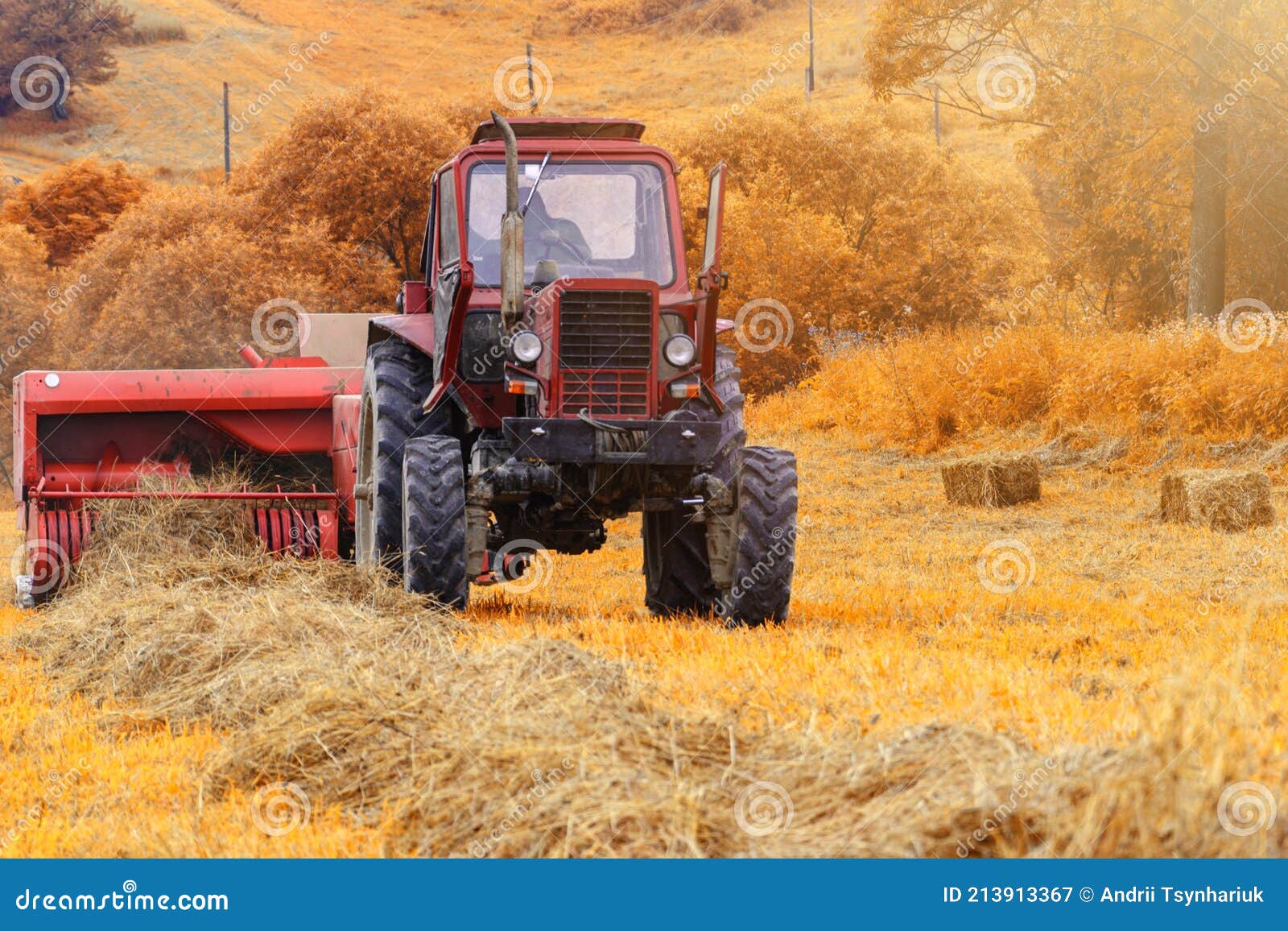 Old Red Tractor in the Field, Ukrainian Fields and Old Machinery, Hay ...