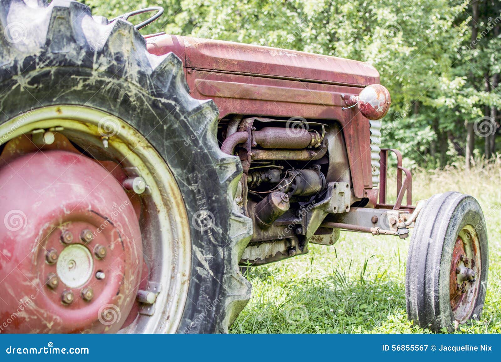 Old red tractor stock image. Image of field, equipment - 56855567