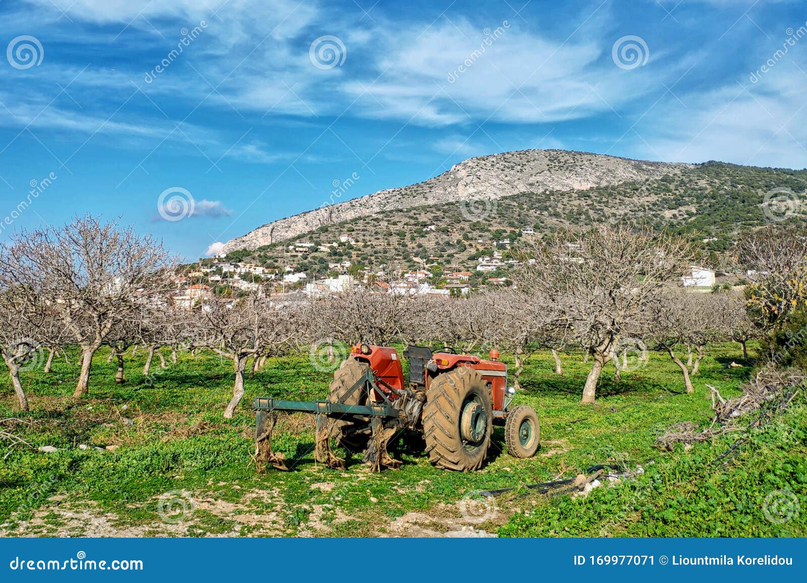 Old Red Tractor. Spring, the Beginning of Agricultural Work in the ...