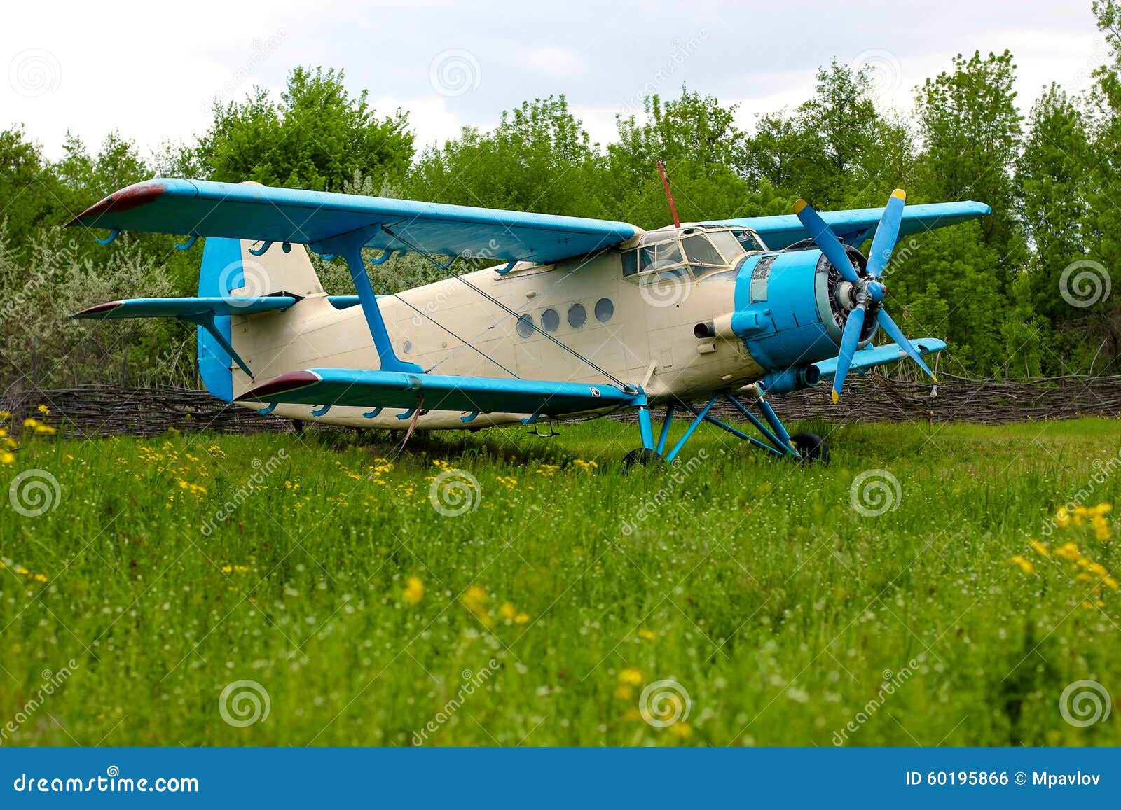Old Retro Airplane on Green Grass Stock Photo - Image of military ...