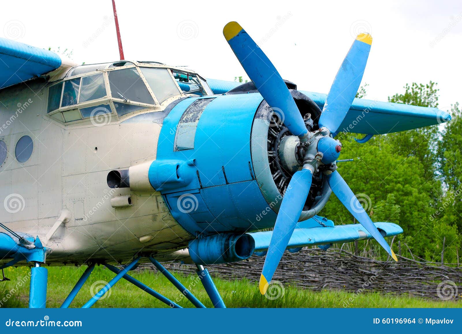 Old Retro Airplane on Green Grass Stock Photo - Image of engine ...