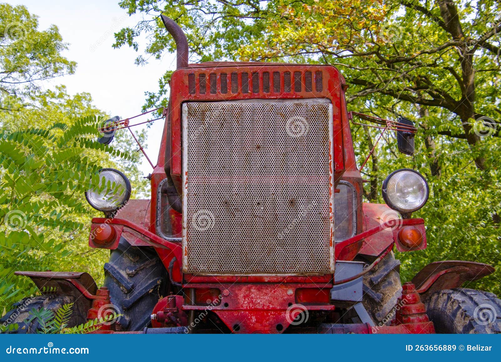 Old, Retro Red Tractor in a Forest Stock Image - Image of soviet ...