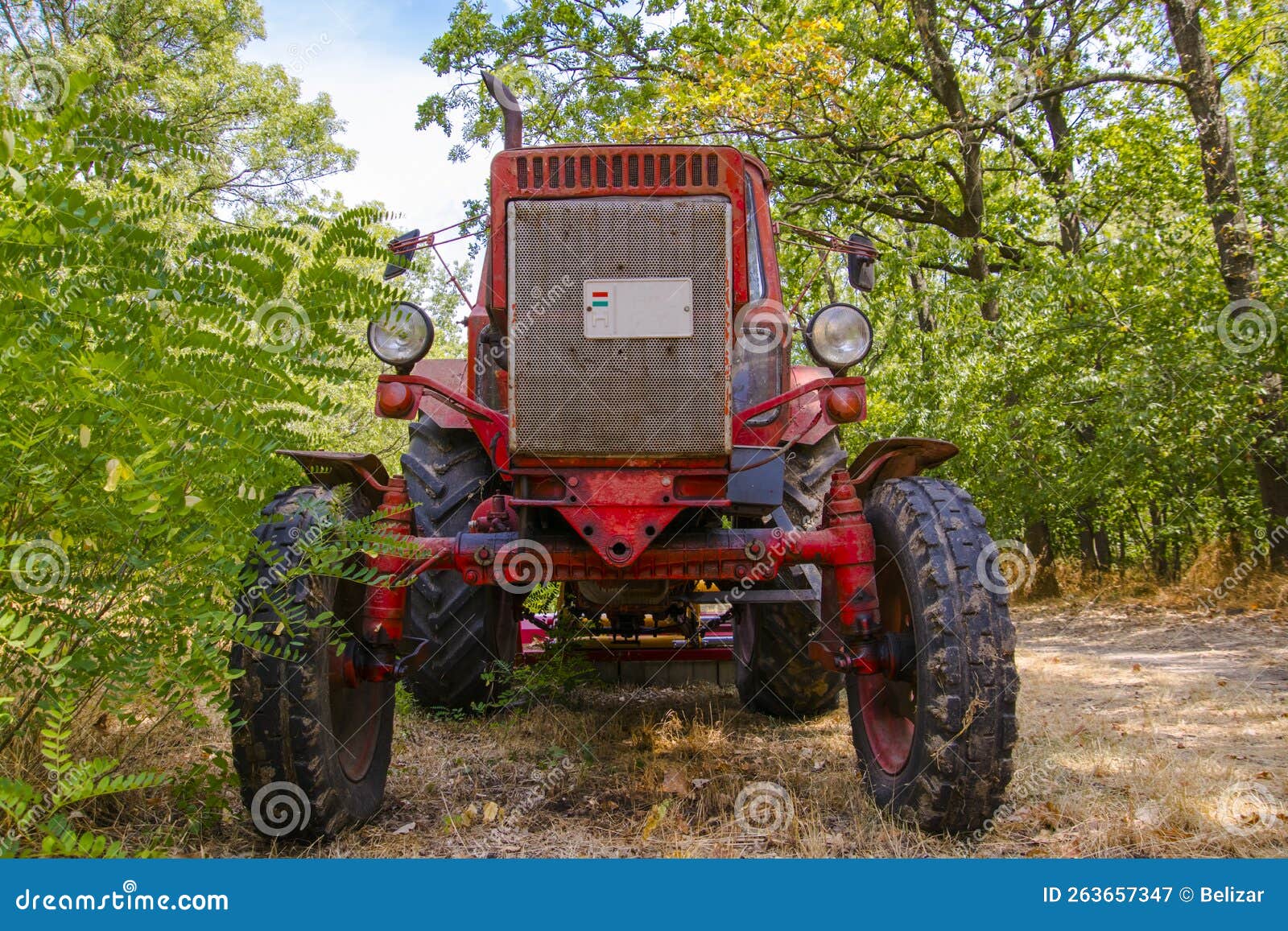 Old, Retro Red Tractor in a Forest Stock Image - Image of soviet ...