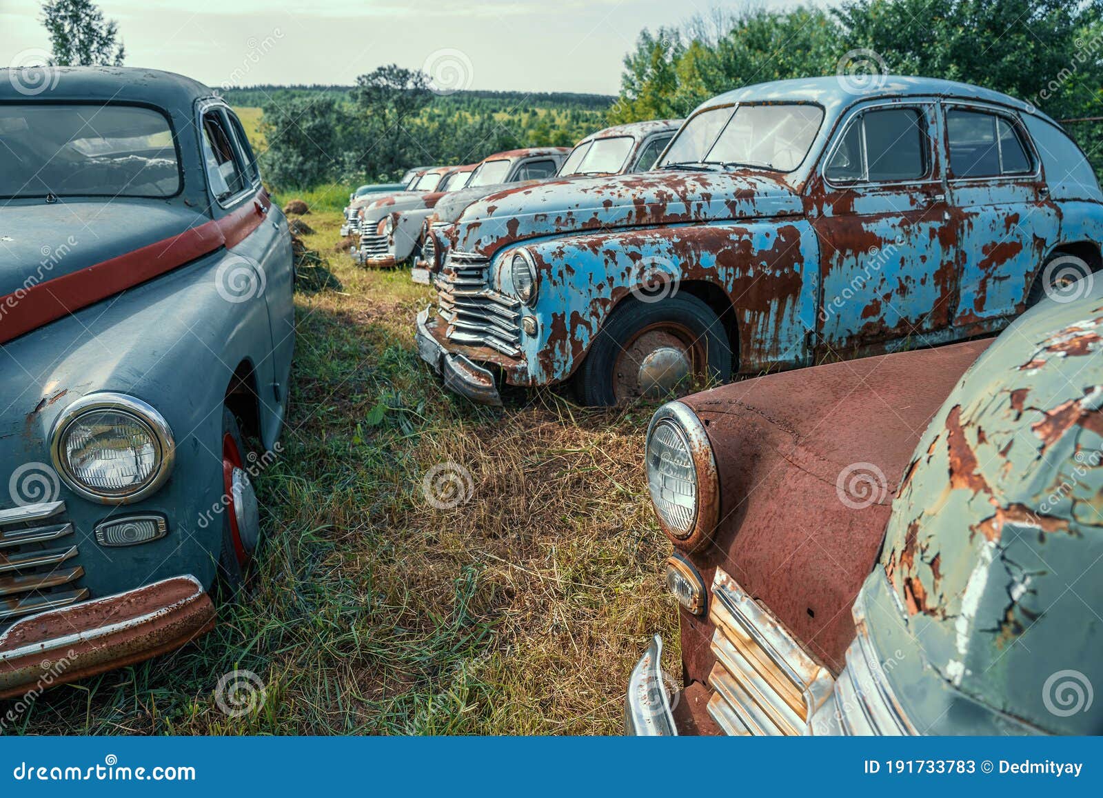 Old Retro Rusty Abandoned Cars in Green Grass Stock Image - Image of ...