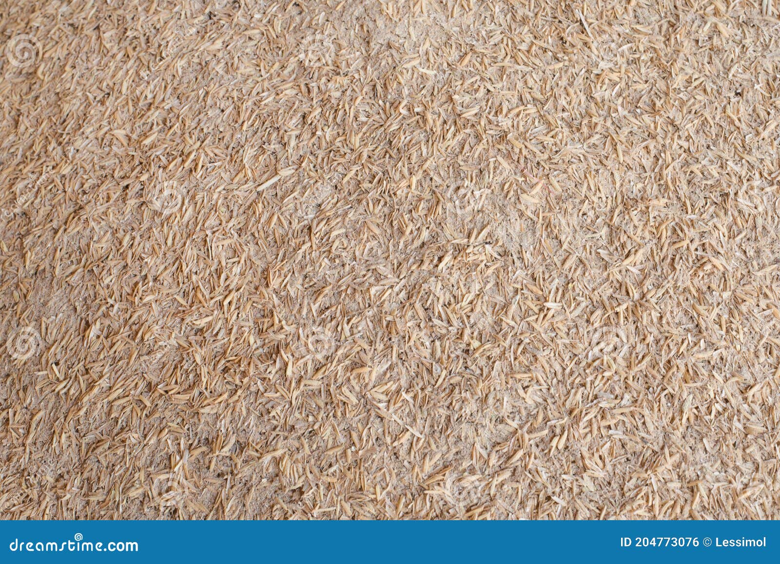 Old Rice Hulls Rice Husks. the Hard Protecting Coverings of Grains of ...
