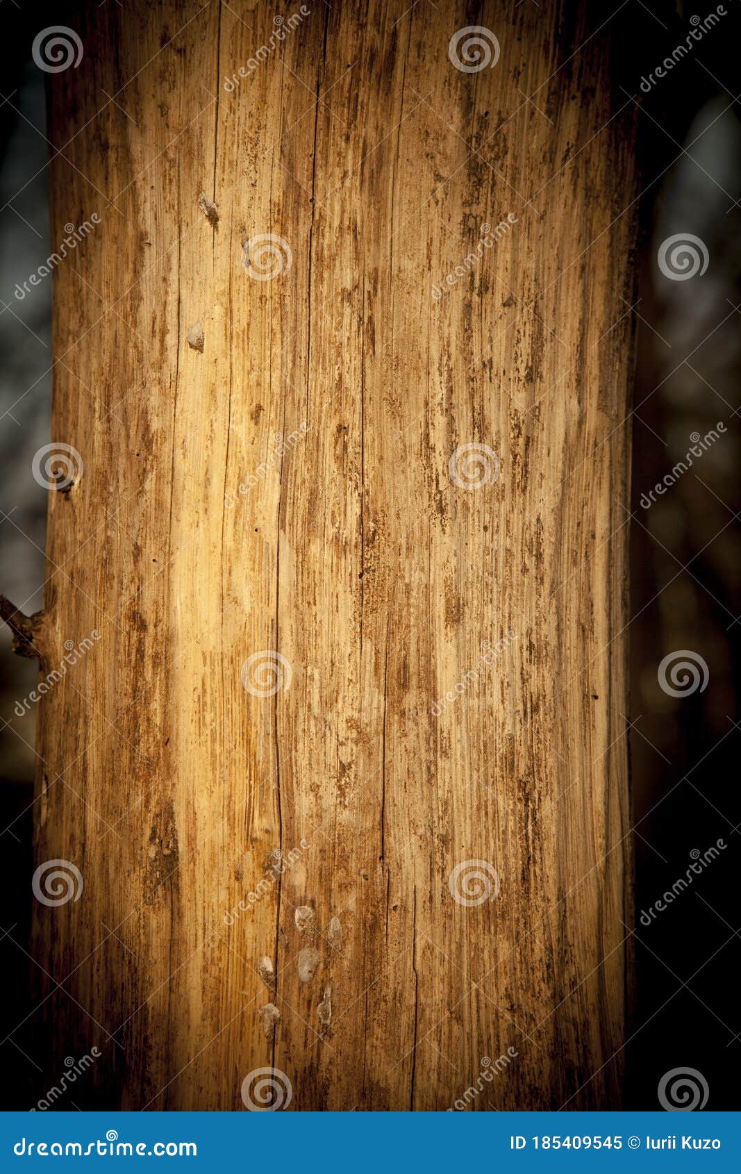 Old Rich Wood Texture and Background for Design Stock Image - Image of ...