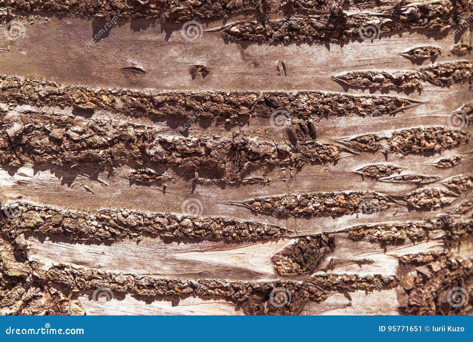 Old Rich Wood Texture And Background For Design. Natural Pattern ...