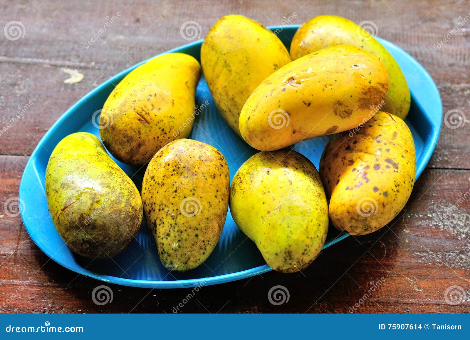 Old ripe mango on dish stock photo. Image of ripe, fruit - 75907614