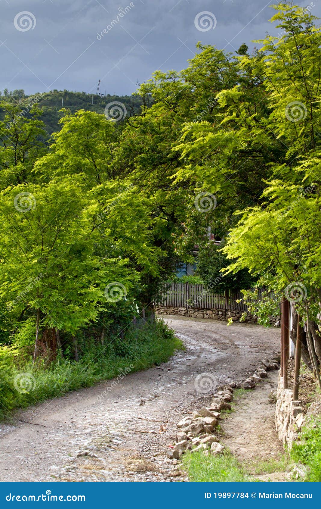 Old road stock photo. Image of park, outdoor, paths, alley - 19897784