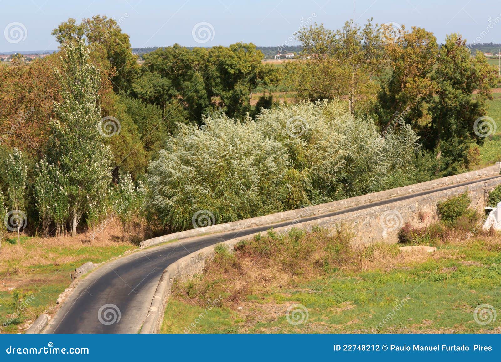 Old Road stock photo. Image of woods, street, aerial - 22748212