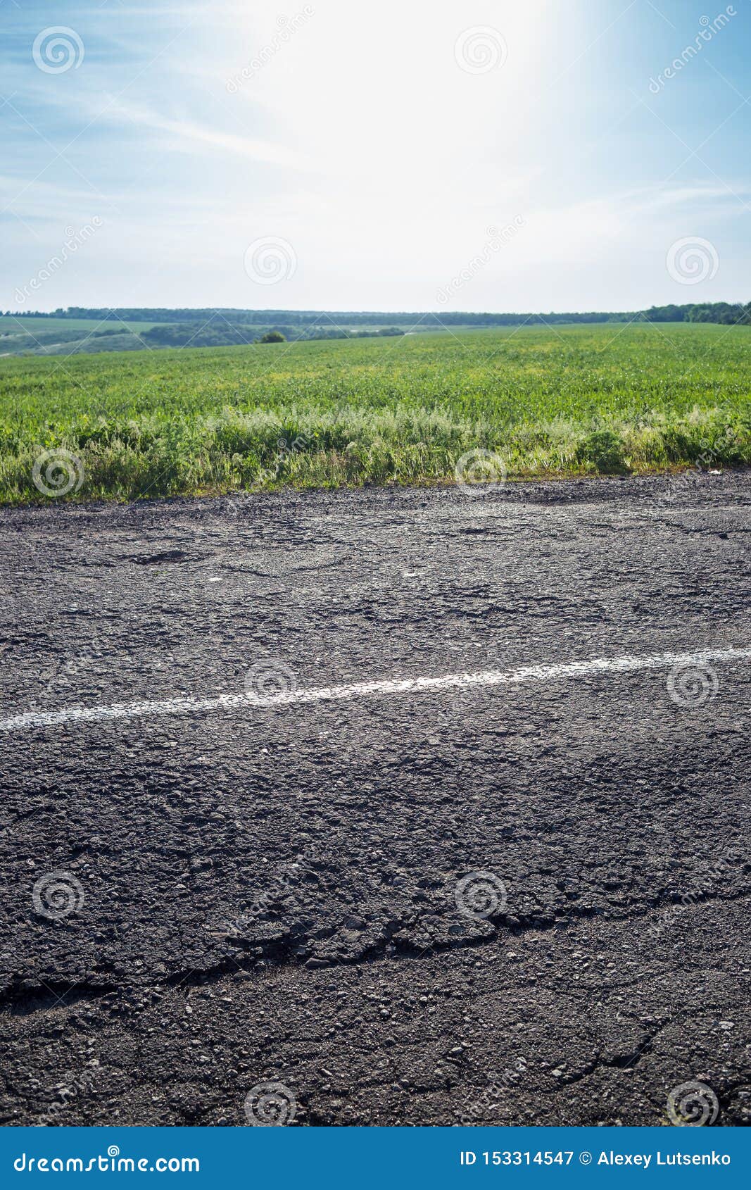 Strip Of Grass Stock Photography | CartoonDealer.com #10992986