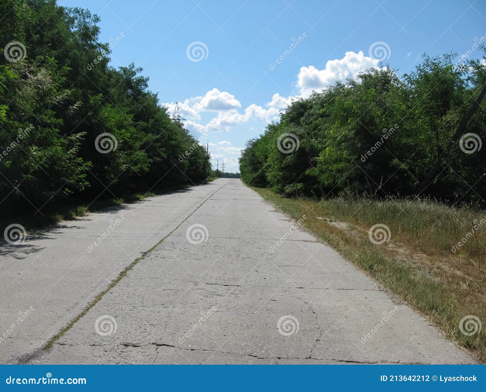Old Road is Made of Concrete Slabs. Road Surface Slabs of Concre Stock ...