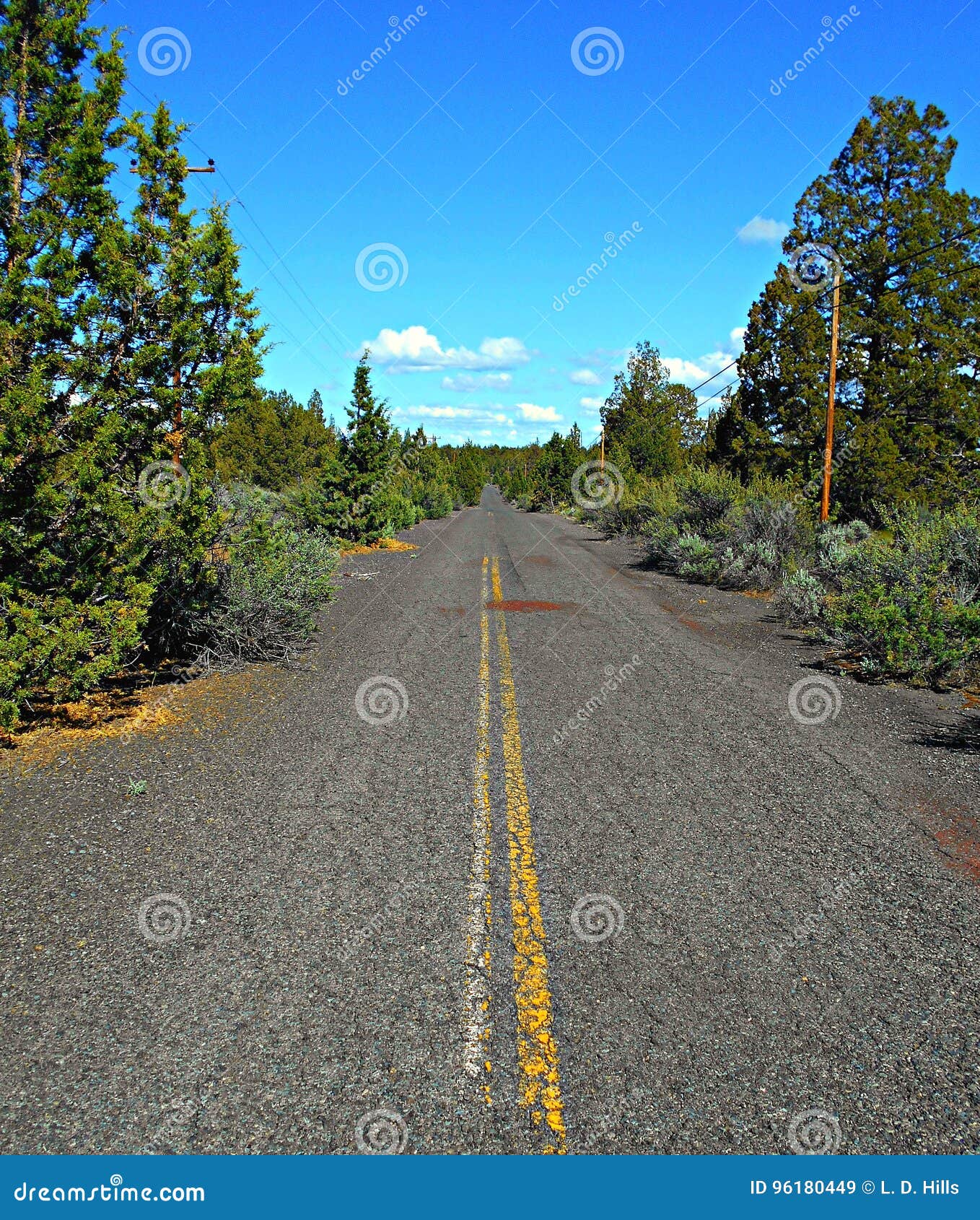 The Old Road stock image. Image of poles, green, white - 96180449