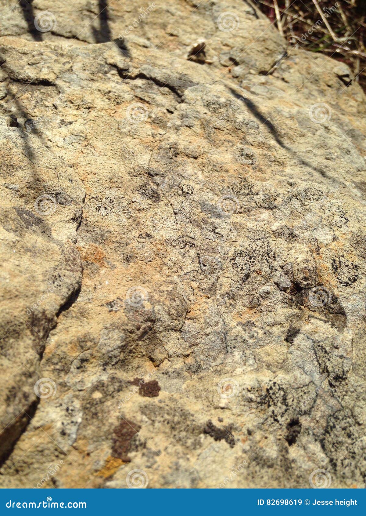 An Old Rock stock image. Image of showing, rock - 82698619