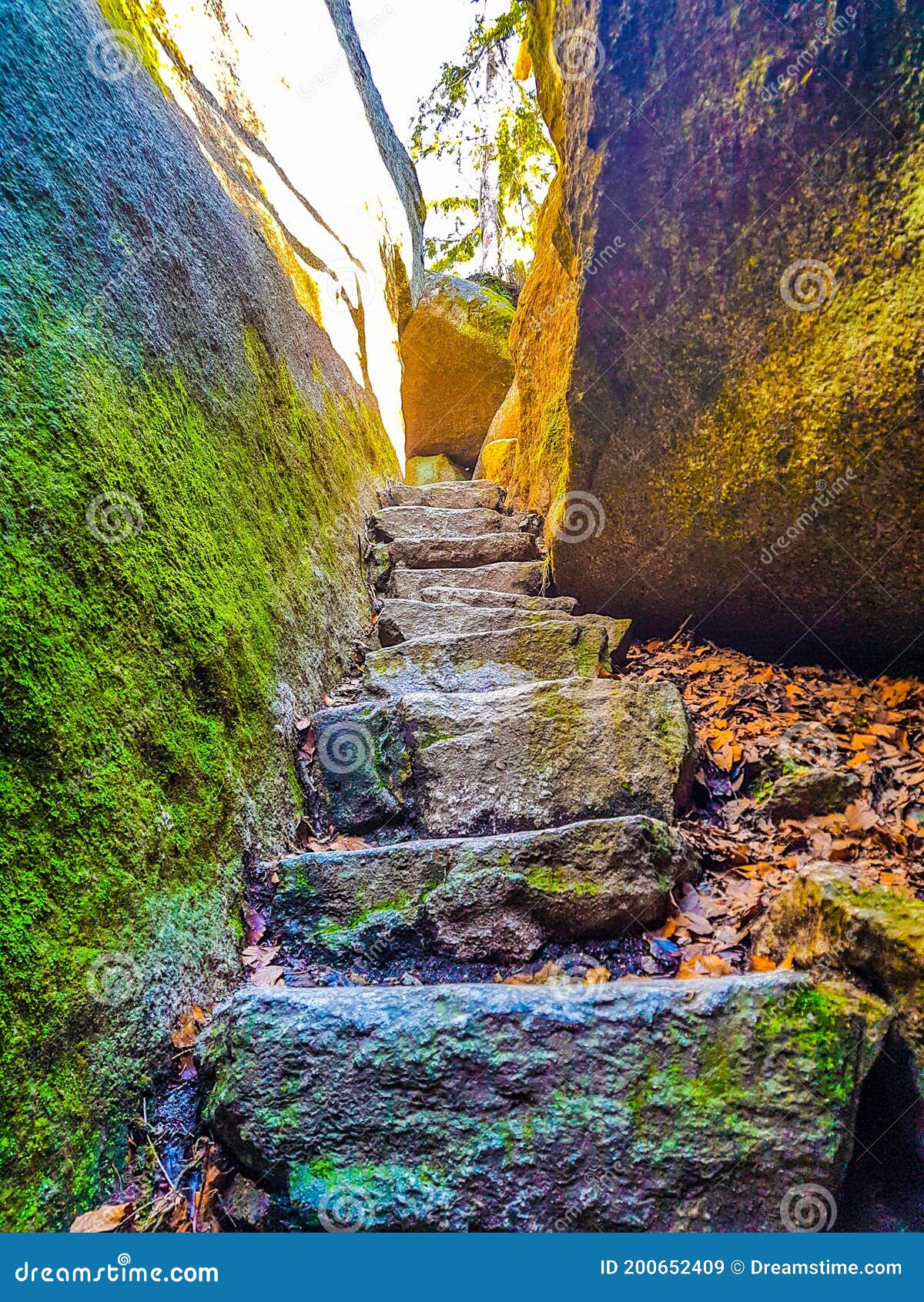 Old rock stairs stock image. Image of green, stairs - 200652409