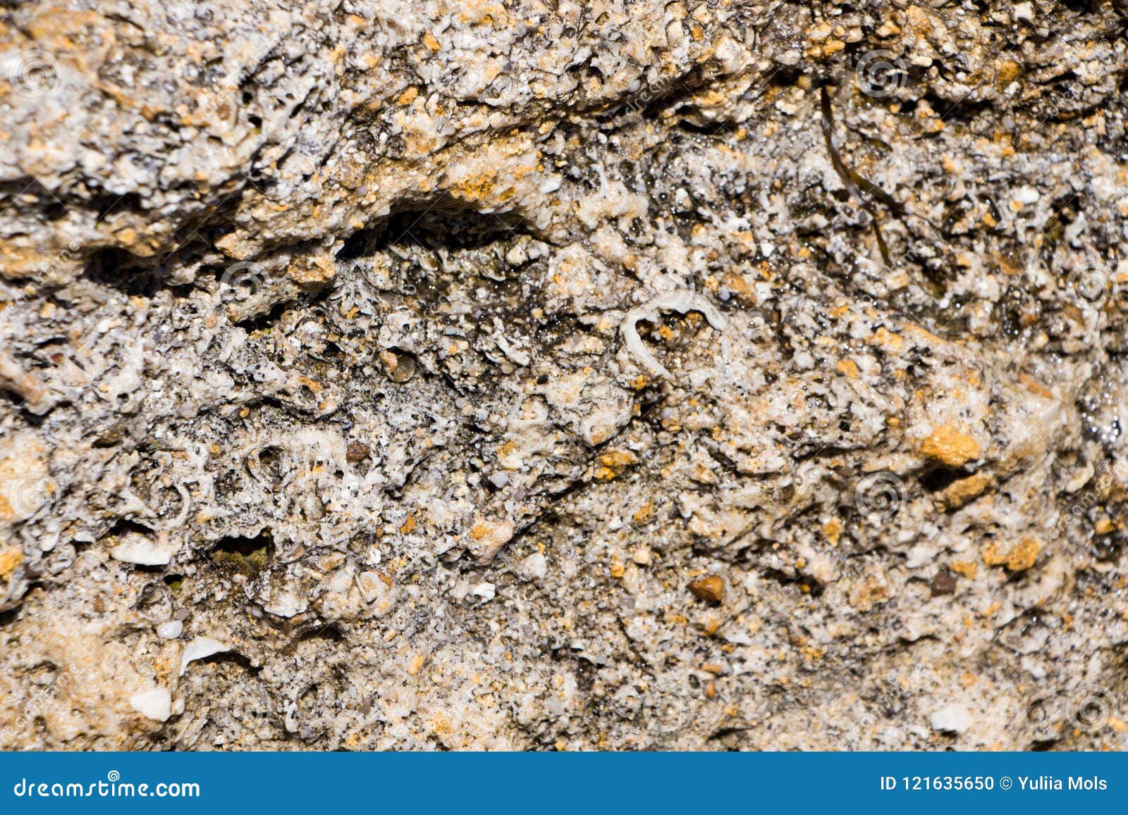 Old Rock Texture Wild Background Stock Photo - Image of pattern ...