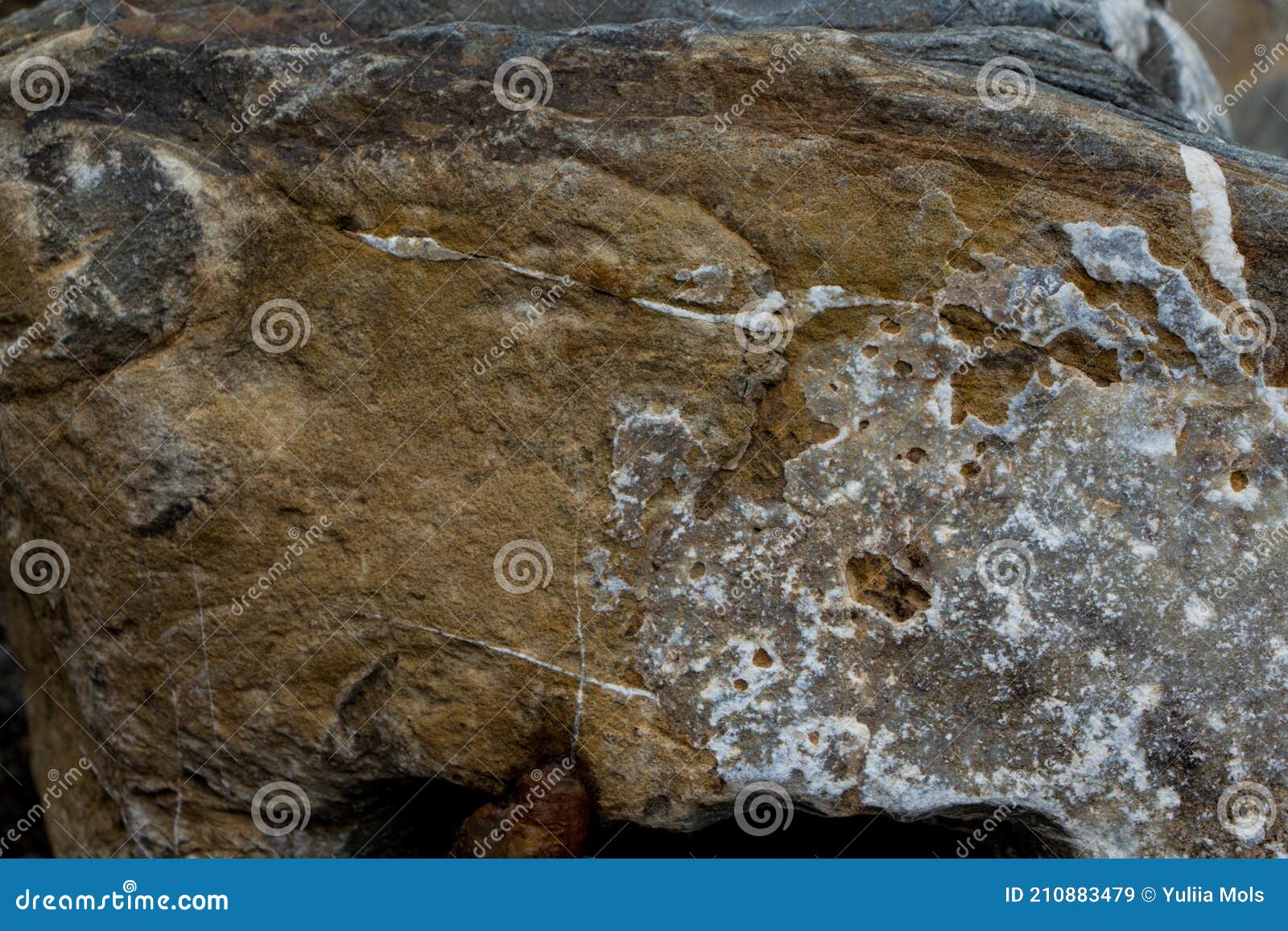 Old Rock Texture Wild Background Stock Image - Image of moss, leaf ...