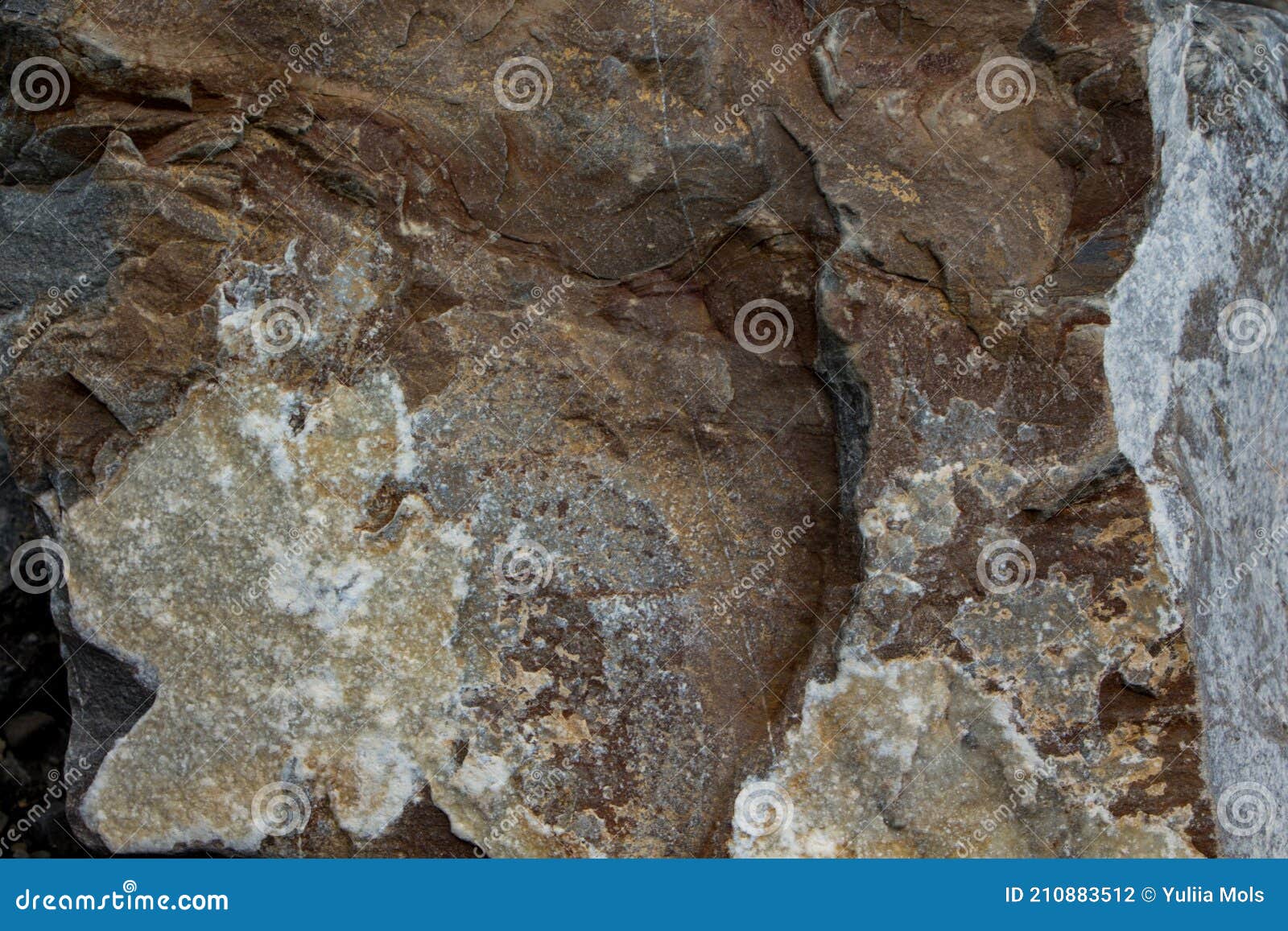 Old Rock Texture Wild Background Stock Photo - Image of aged, leaf ...