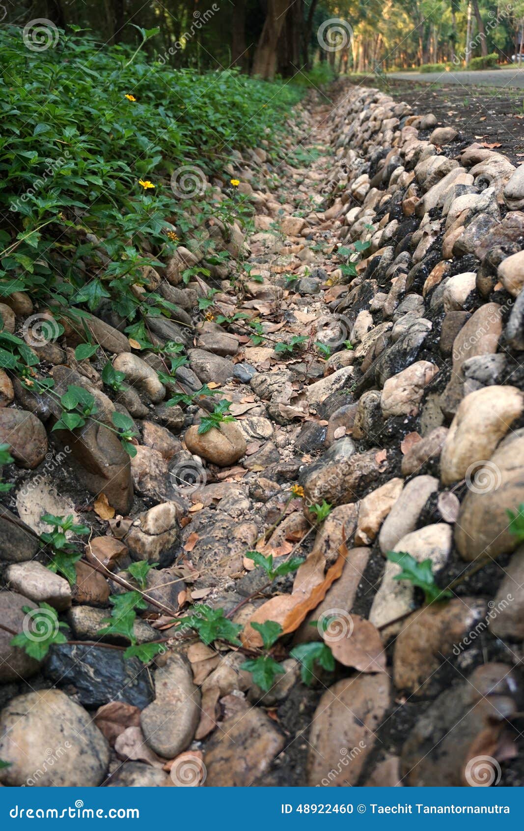 Old rock water channel stock photo. Image of channel - 48922460