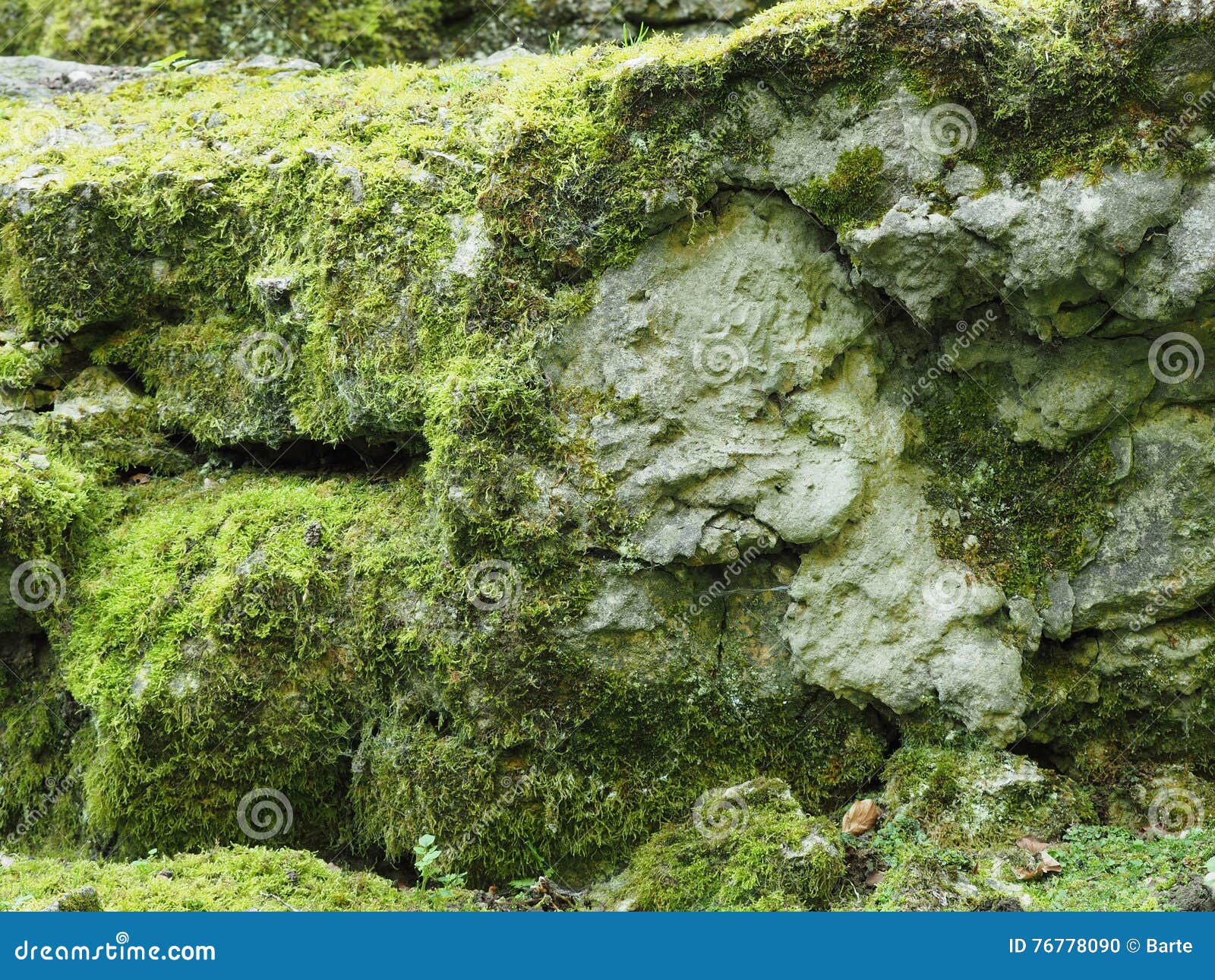 Old rocks with moss stock photo. Image of green, mossy - 76778090