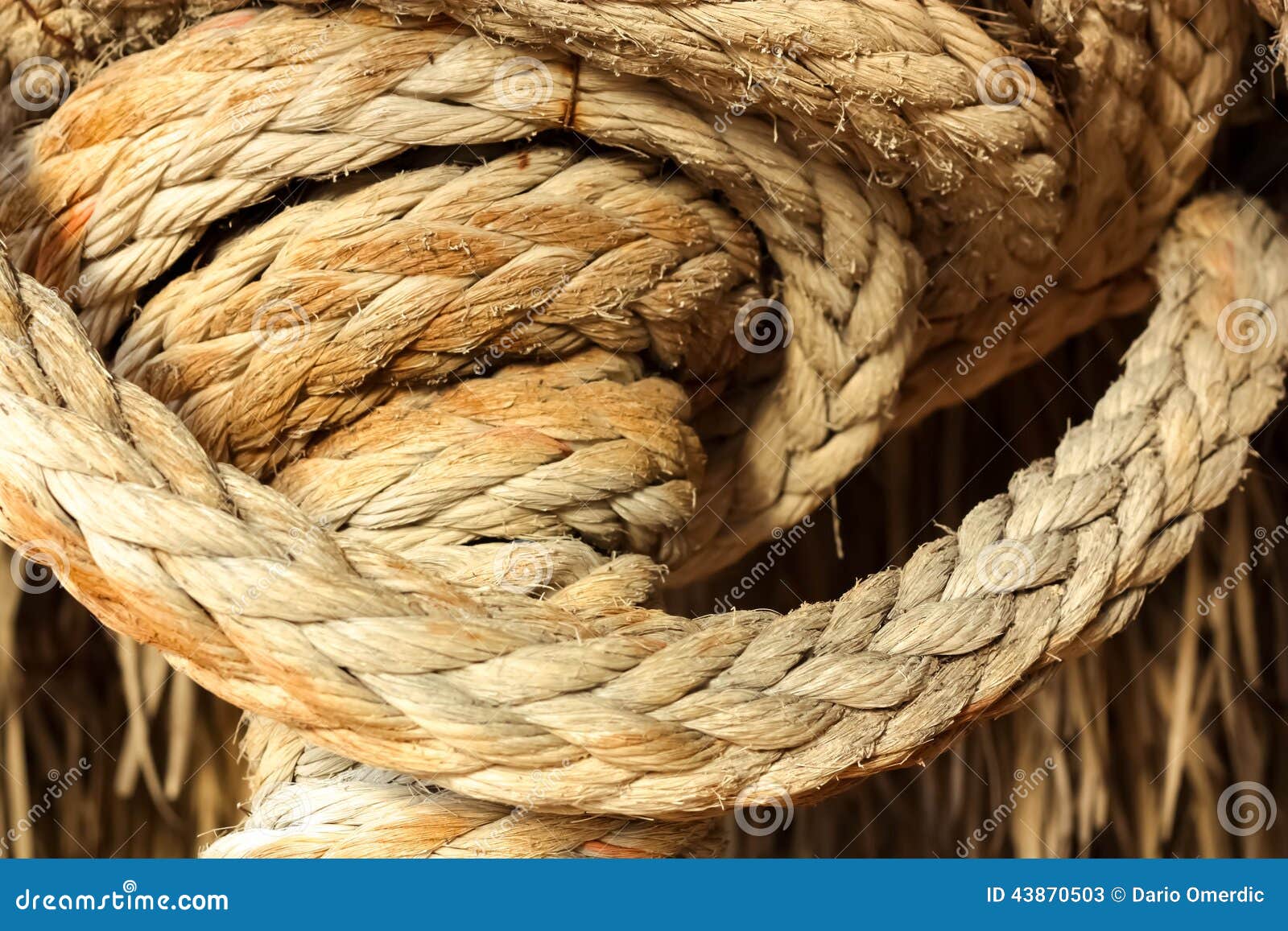Rolled Rope Stock Photo | CartoonDealer.com #26105526