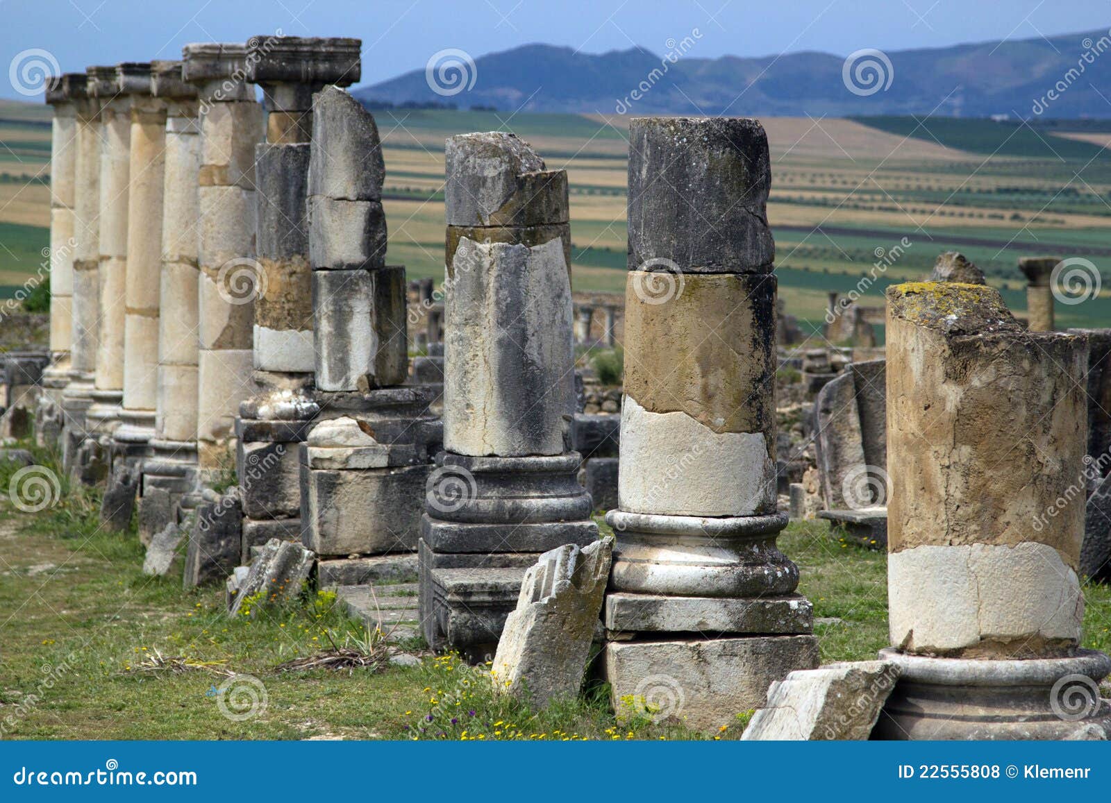 Old Roman Columns, Volubilis, Morocco Stock Photo - Image of moroccan ...