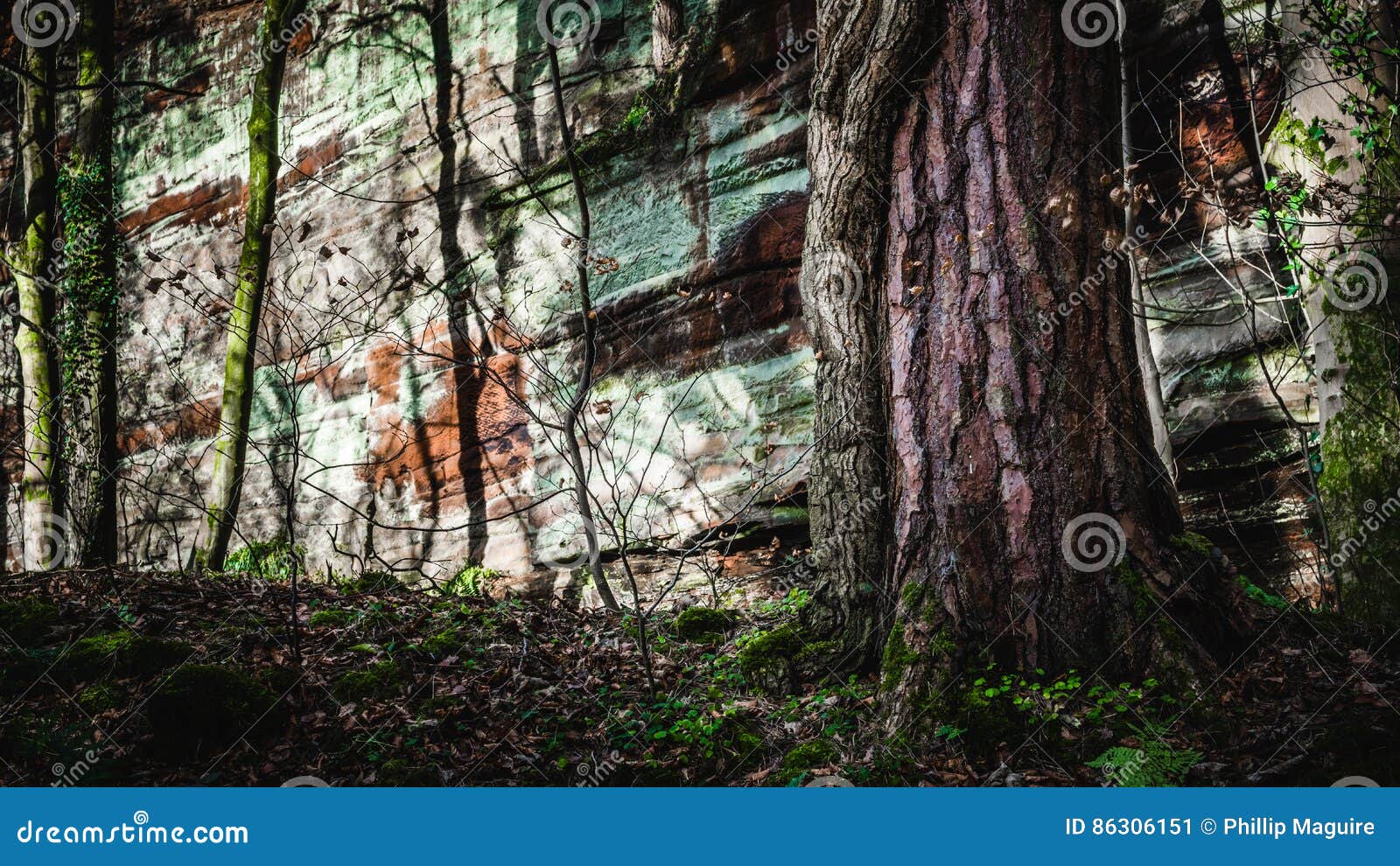Old Roman quarry, Cumbria stock image. Image of forest - 86306151