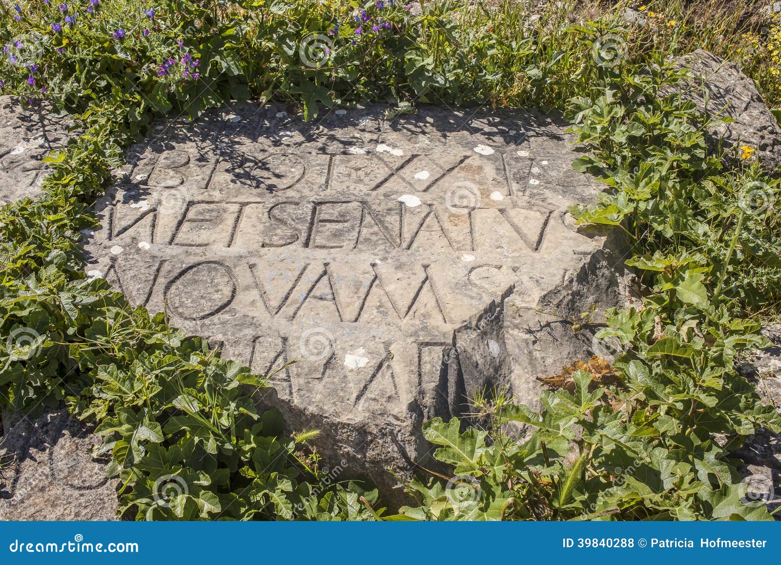 Old roman text stock photo. Image of engraving, burnt - 39840288