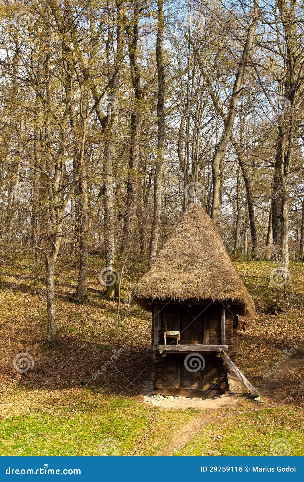Wooden hut in the forest stock photo. Image of ancient - 29759116