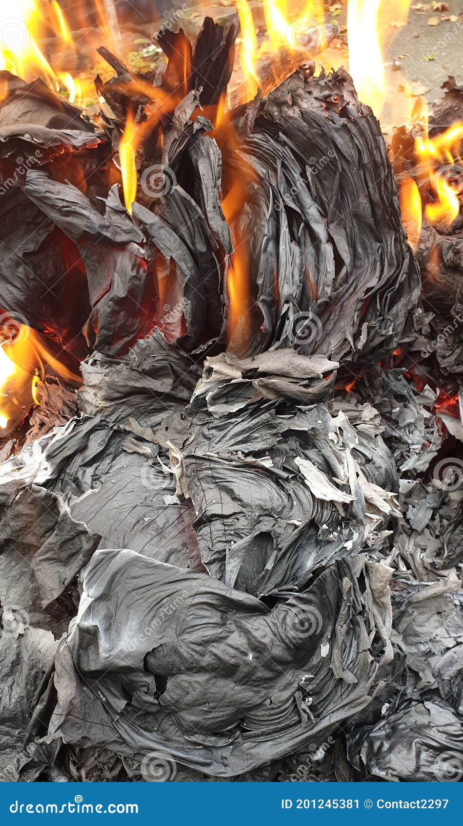 Old Romanian Service Documents Burned in Fire Stock Image - Image of ...