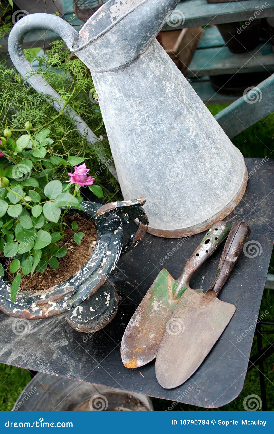 Old Romantic Gardening Items Stock Photo - Image of flower, items: 10790784