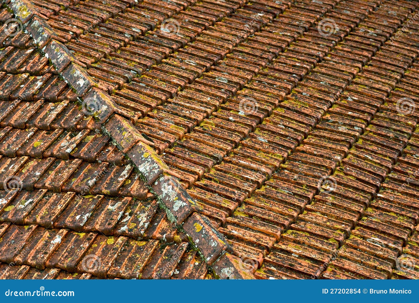 Old roof stock photo. Image of greenery, architectural - 27202854